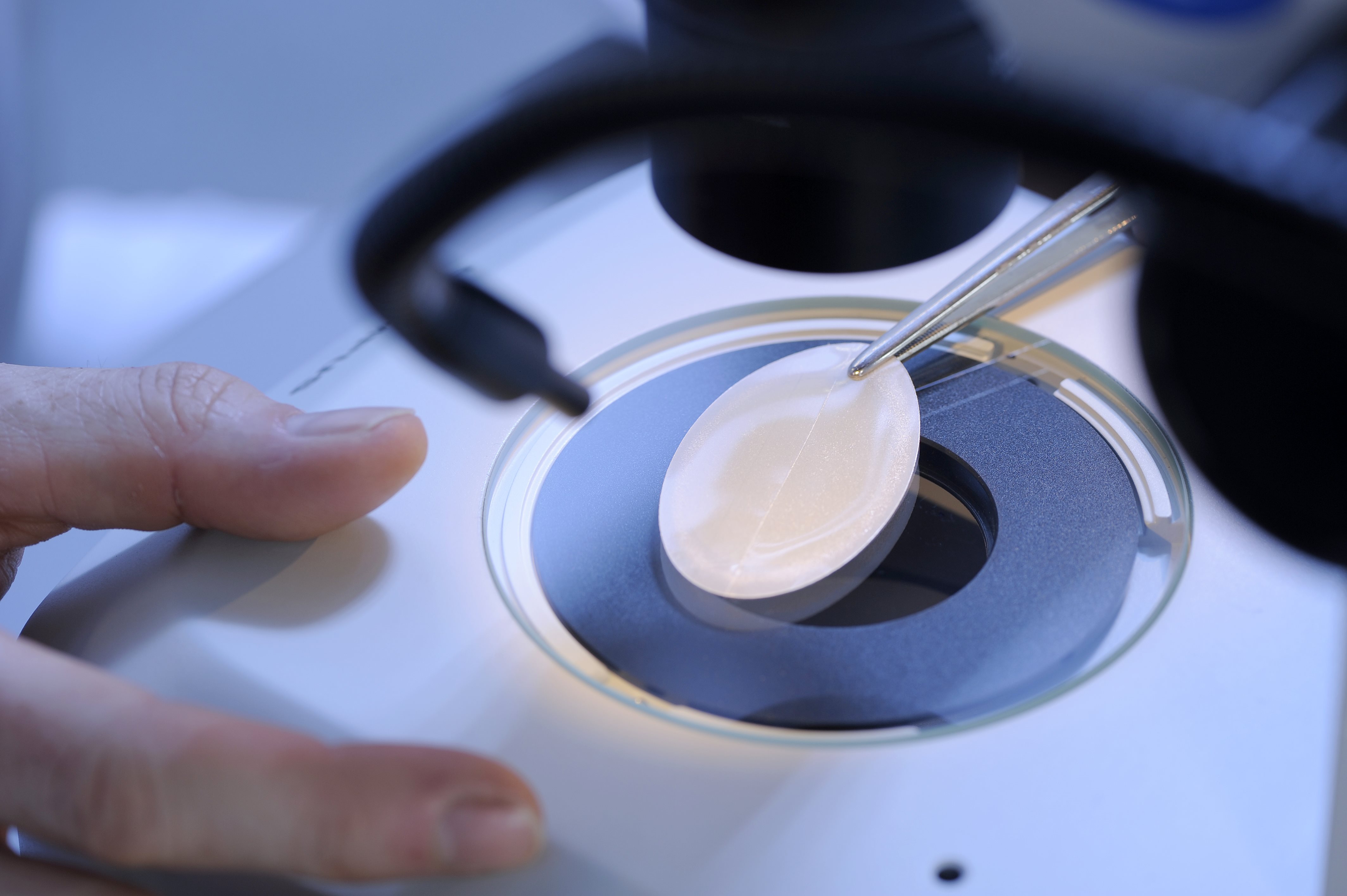 Press photos & footage | Beiersdorf