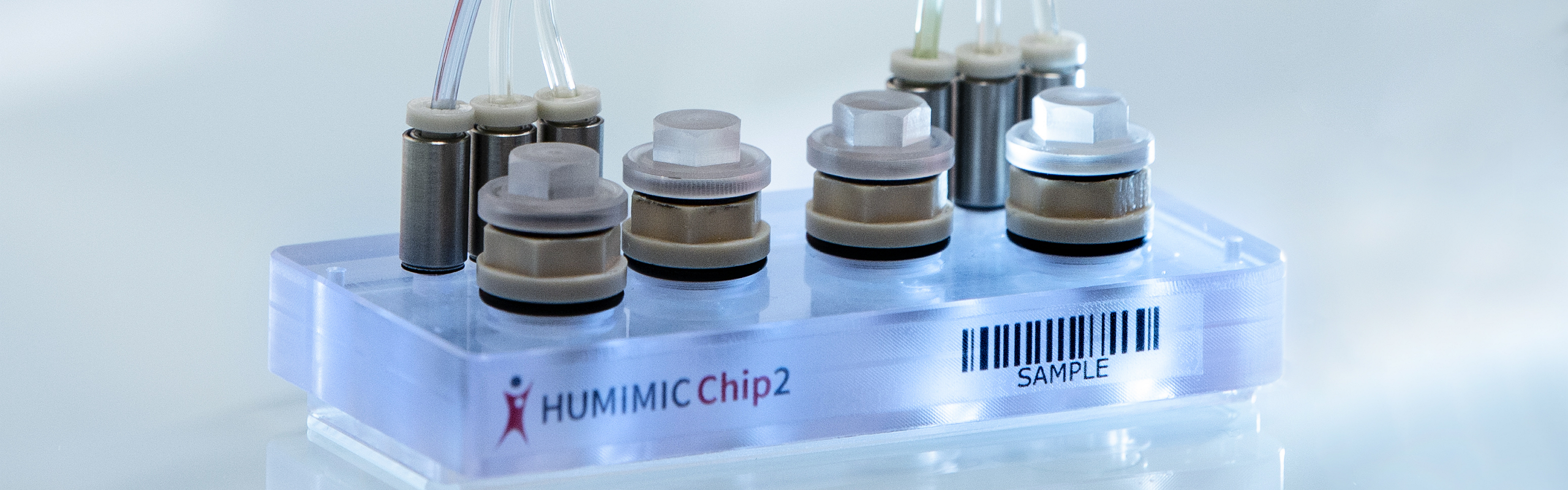 Breaking new grounds with multi-organ chips | Beiersdorf