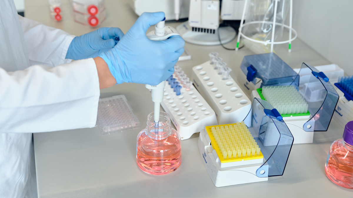 Skin Research | Beiersdorf