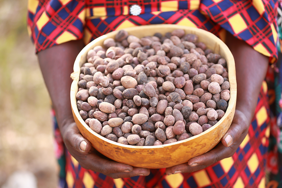 Shea Butter – Natural Care from West Africa | Beiersdorf